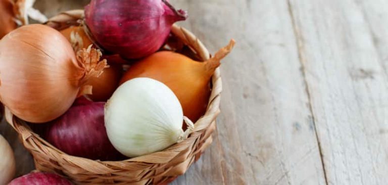 IQF products – Farmico Cold Chain & Logistics